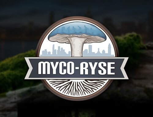 Montreal Graphic Design I 100% Satisfaction, Affordable Pricing